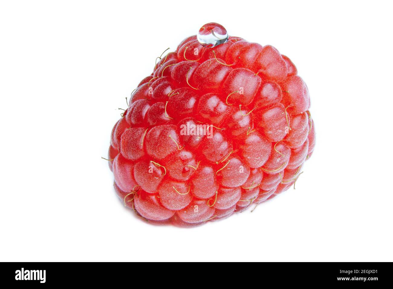 Macro close up of a red raspberry with a water drop on top Stock Photo ...