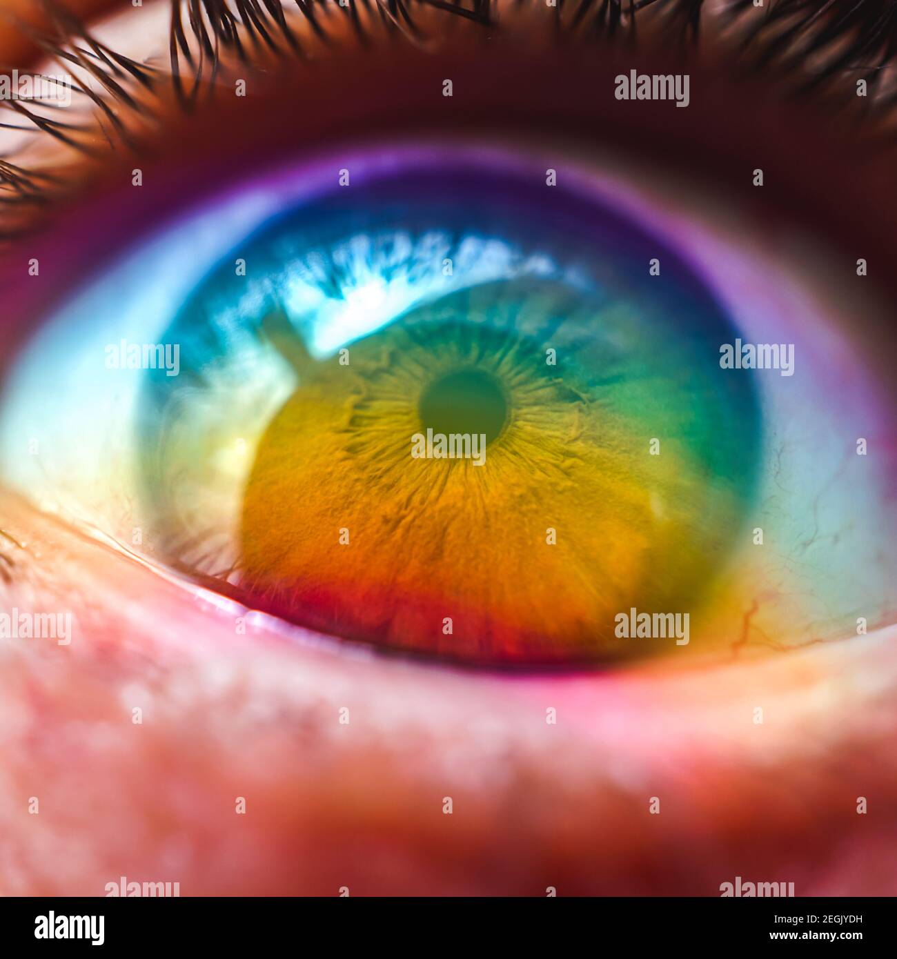 rainbow on the brown eye, lgbt flag Stock Photo - Alamy