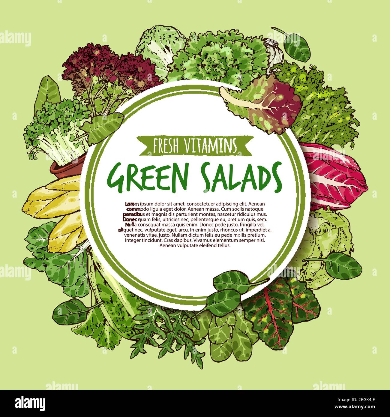 Green salad poster with fresh leaf vegetable. Iceberg lettuce, cabbage ...