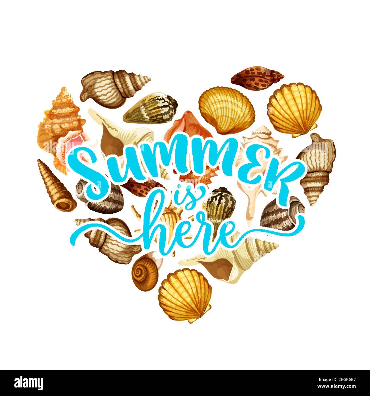 Summer is here poster with heart made up of seashell. Marine mollusc ...