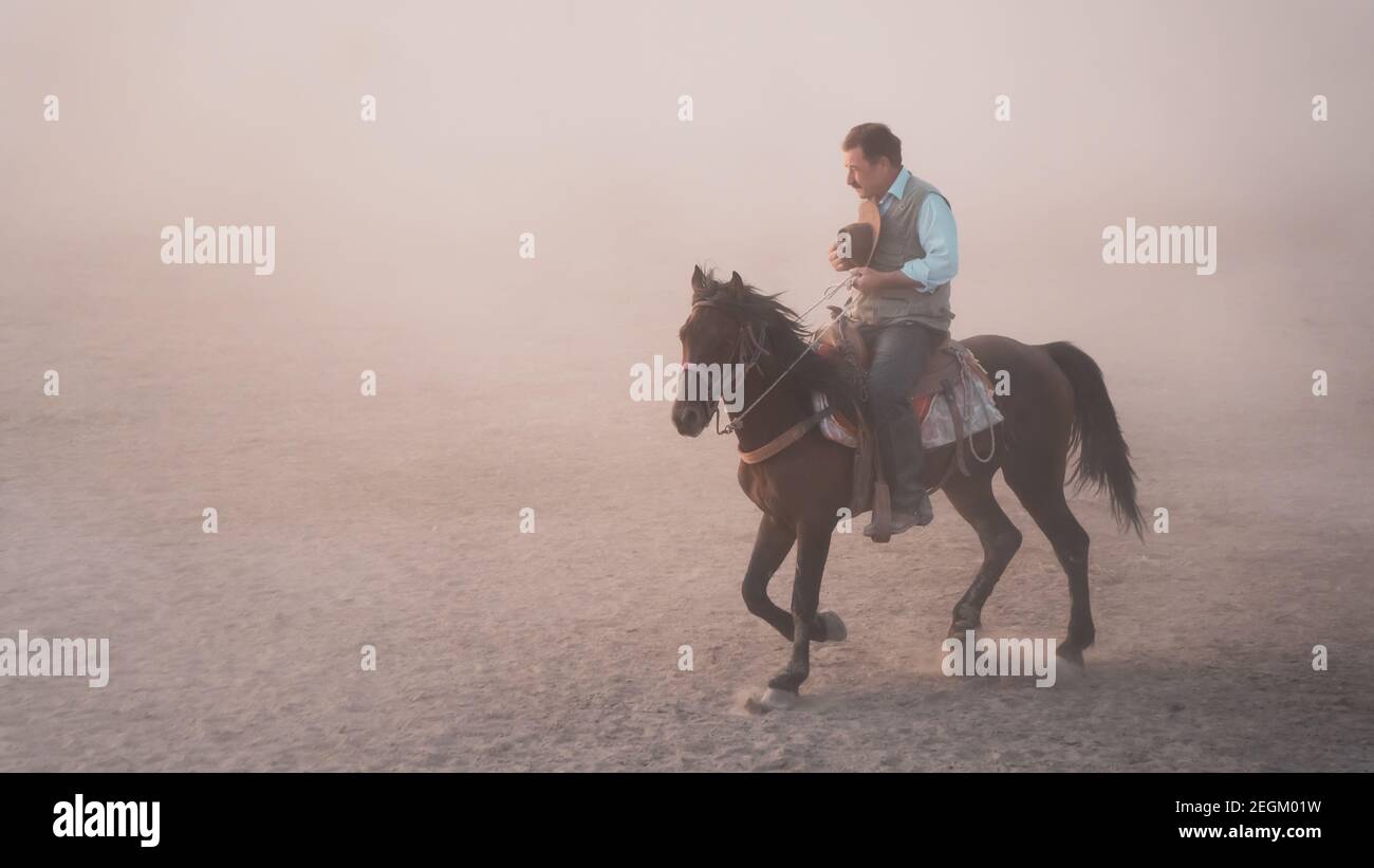 Arabian horse with rider galloping hi-res stock photography and images ...