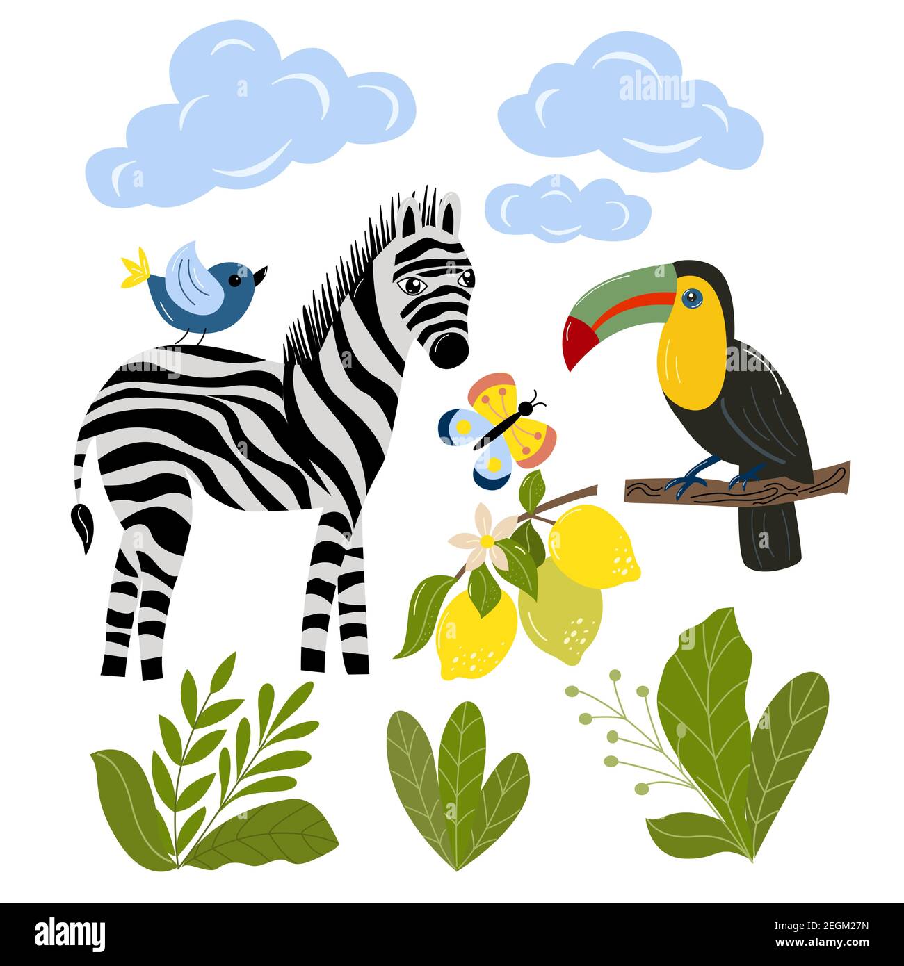 Set of tropical animals - zebra, toucan, butterfly Stock Vector Image ...