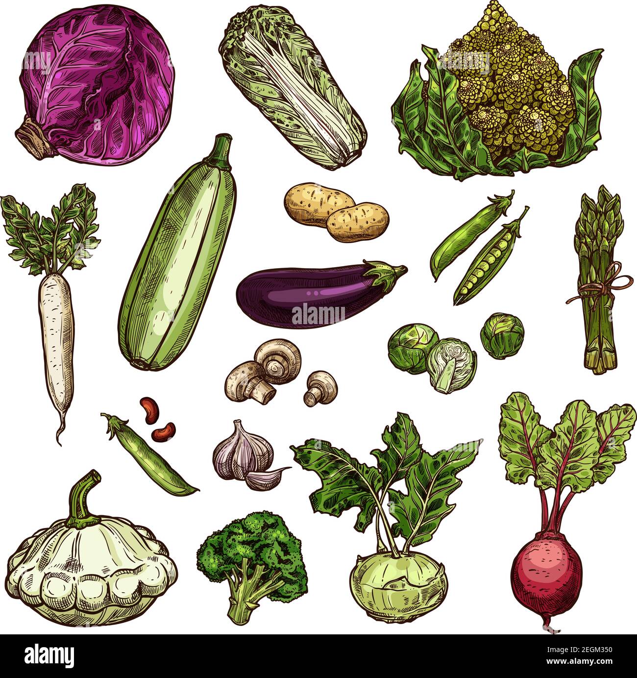 Vegetables set of potato, chinese cabbage, red cabbage or beans, daikon ...