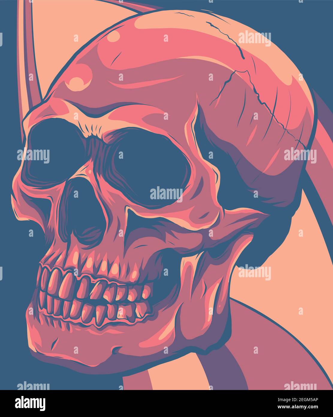 vector illustration of human skull in colored background Stock Vector ...