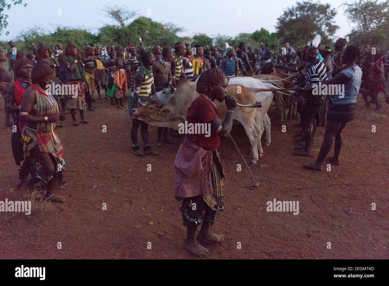The bull jumping ceremony is a male rite of passage where a young man ...