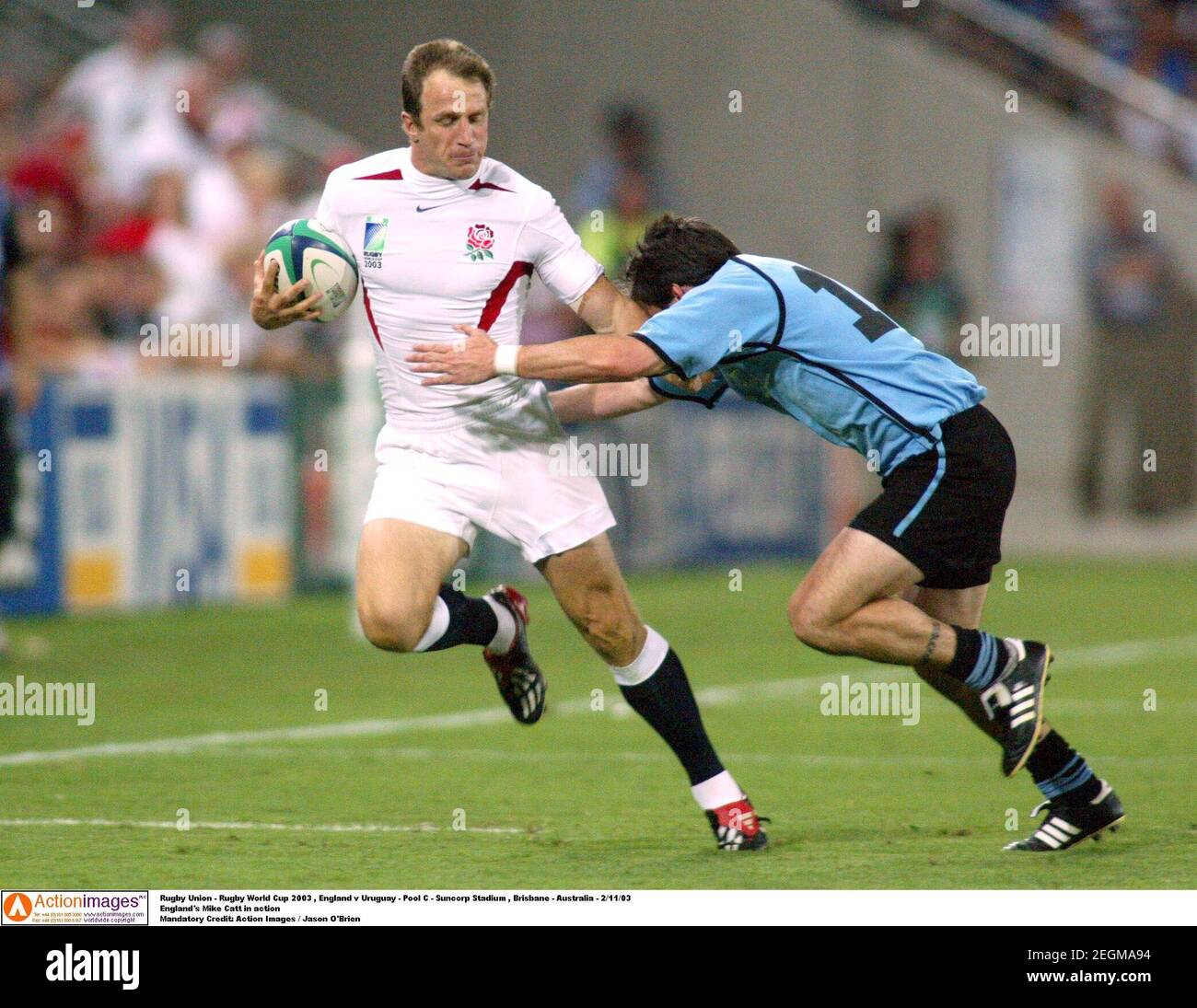 Rugby england catt 2 hi-res stock photography and images - Alamy