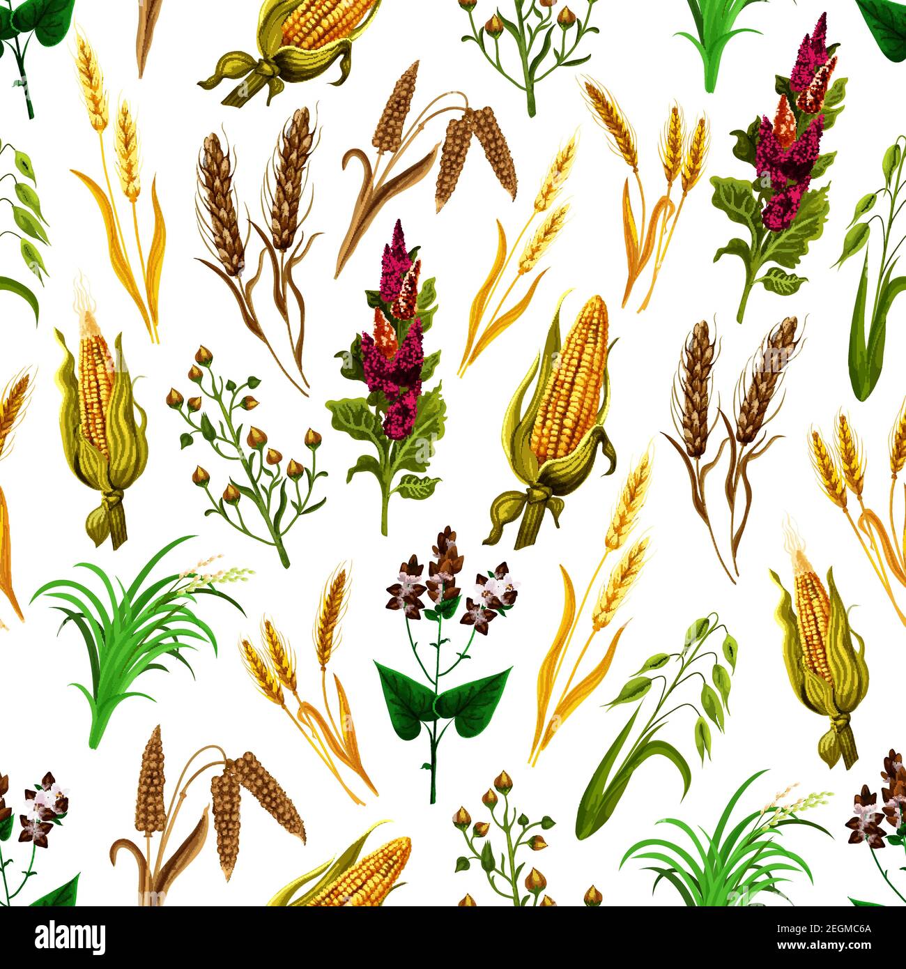 Barley forage Stock Vector Images - Alamy
