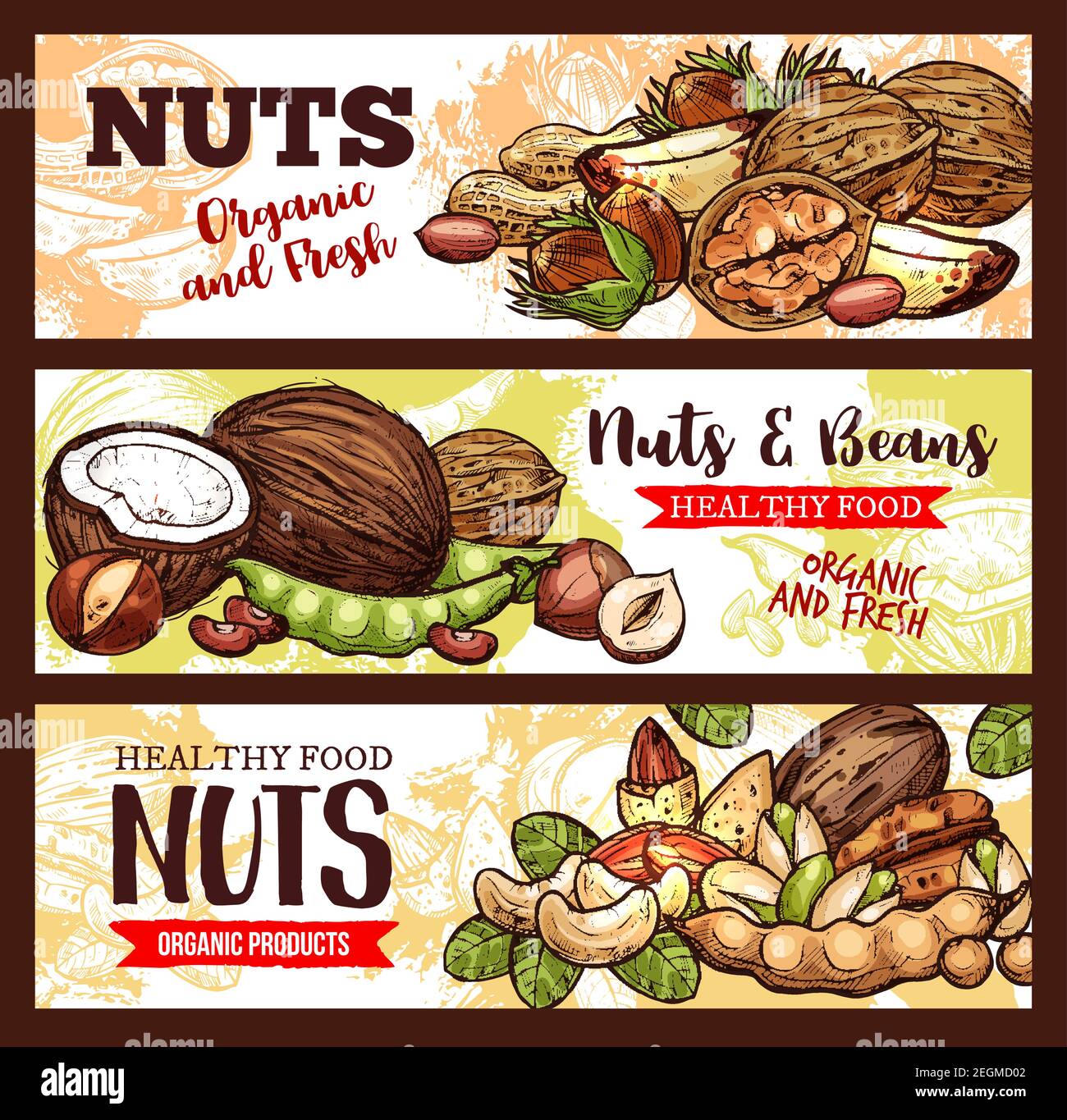 Nuts and beans sketch banners of organic coconut, peanuts, pistachios ...