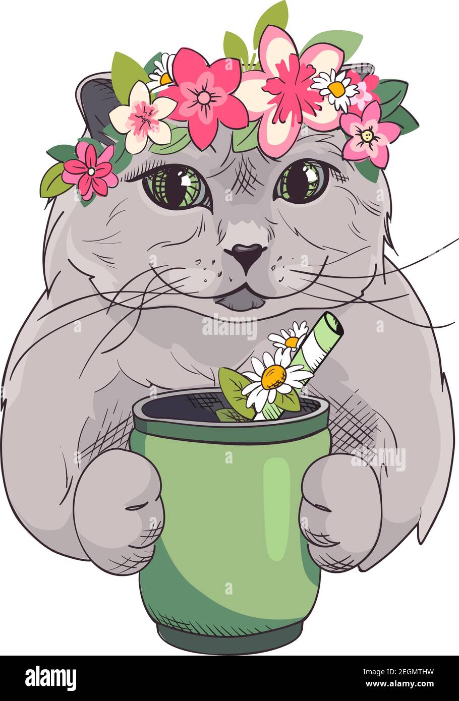 White kitten british breed Stock Vector Images - Alamy