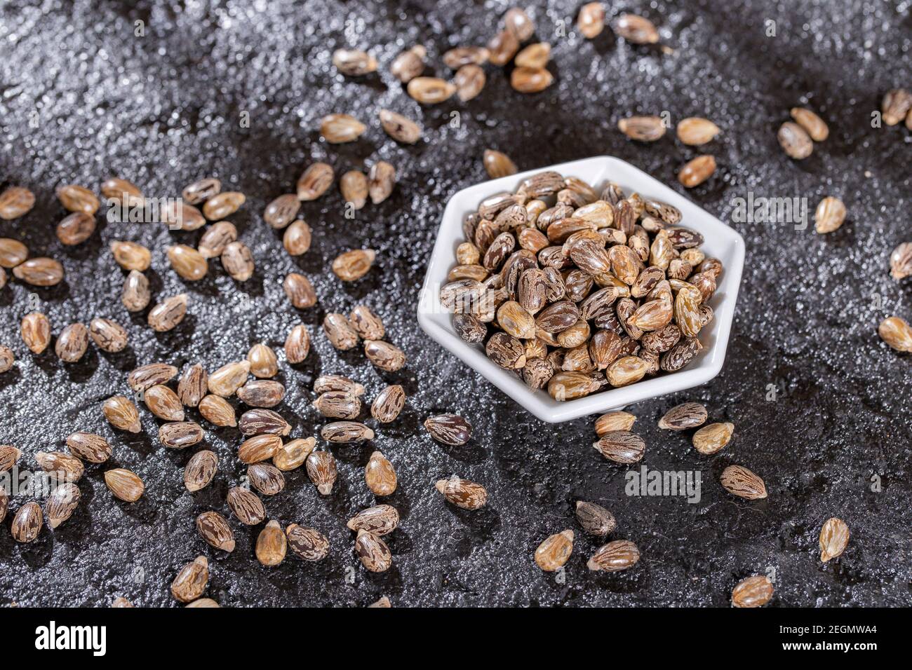 castor oil seed on black background, close-up Stock Photo - Alamy