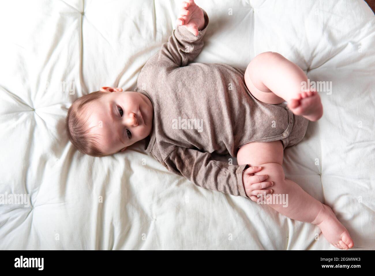 cute six month old baby lying with legs raised Stock Photo - Alamy