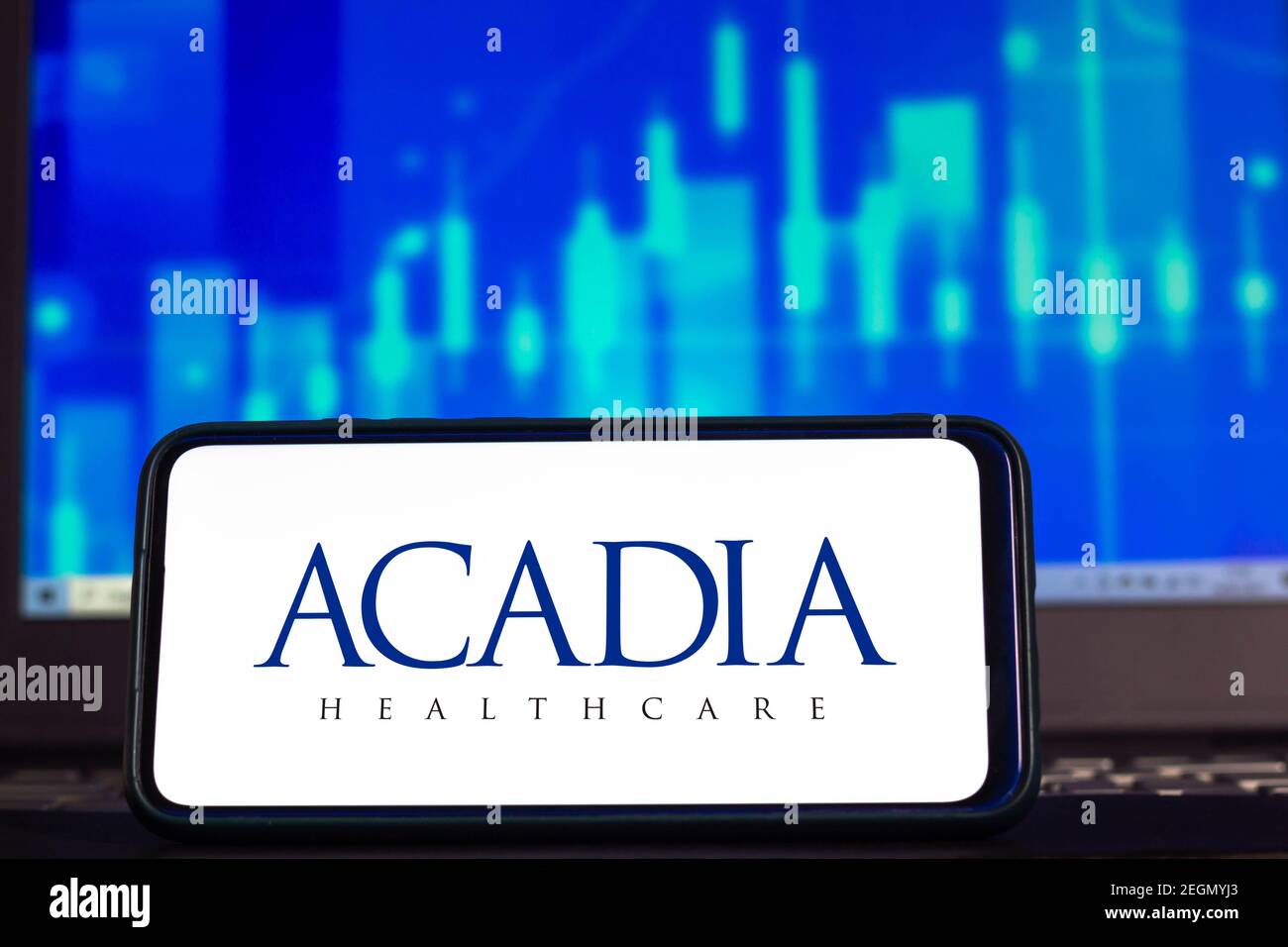 In this photo illustration an Acadia Healthcare logo seen displayed on ...