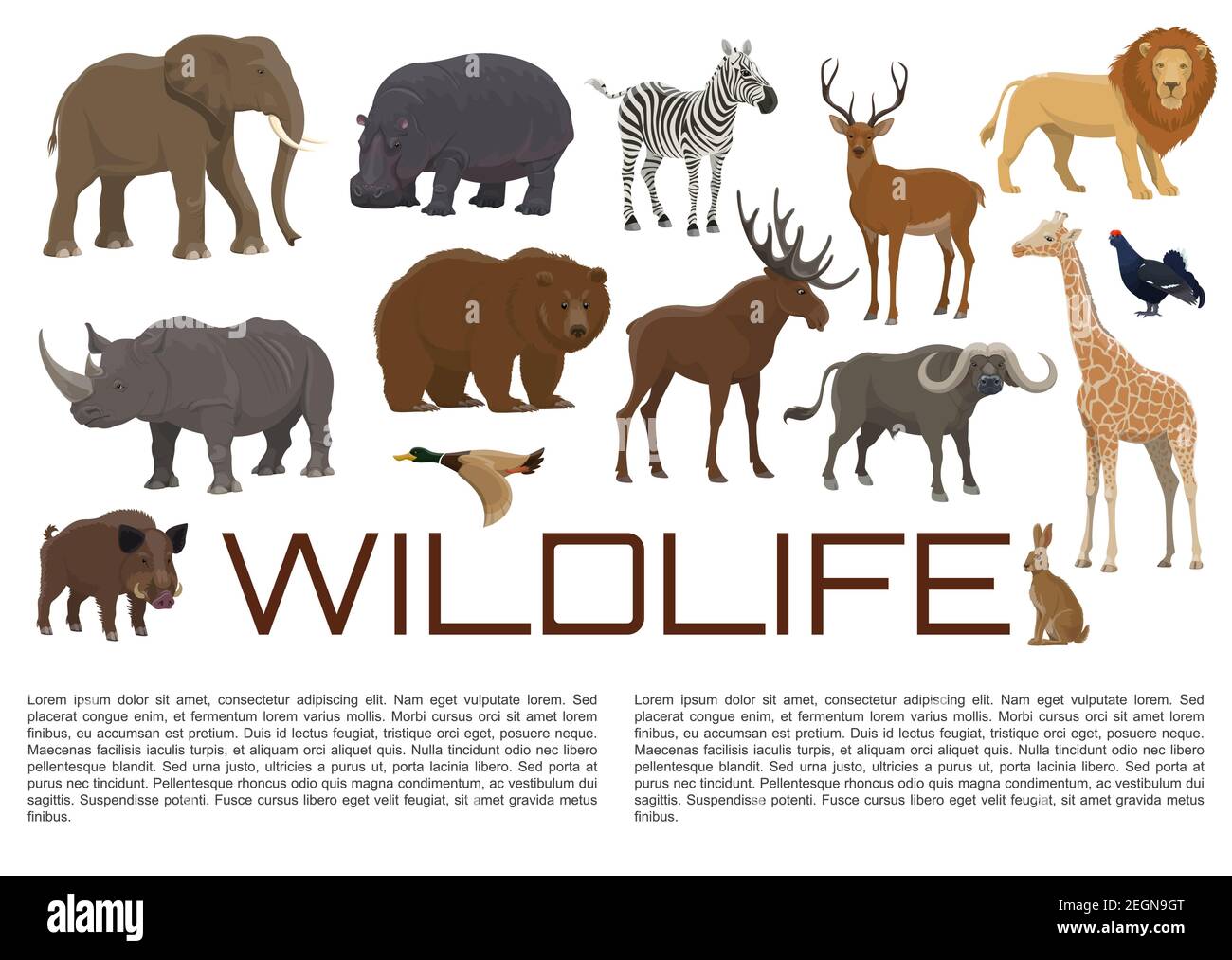 Wild animals and birds poster for wildlife zoo or hunt. Vector African ...