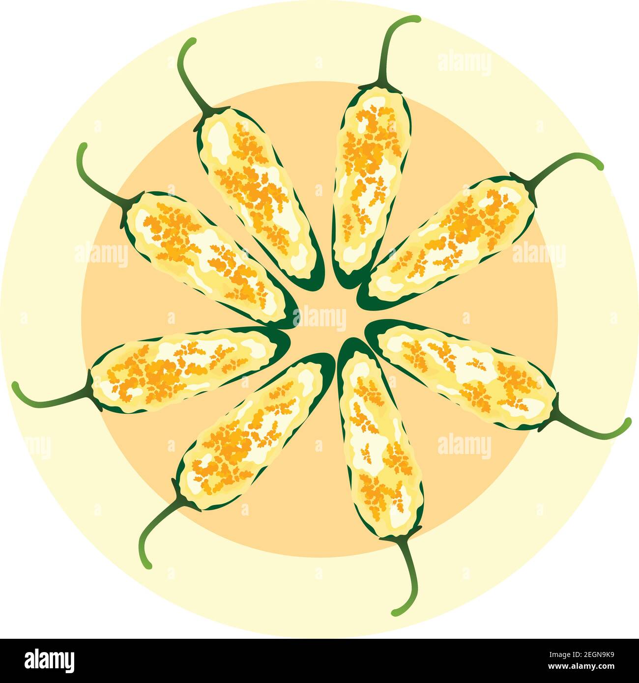 raw green jalapeno pepper. vector illustration Stock Vector Image & Art ...