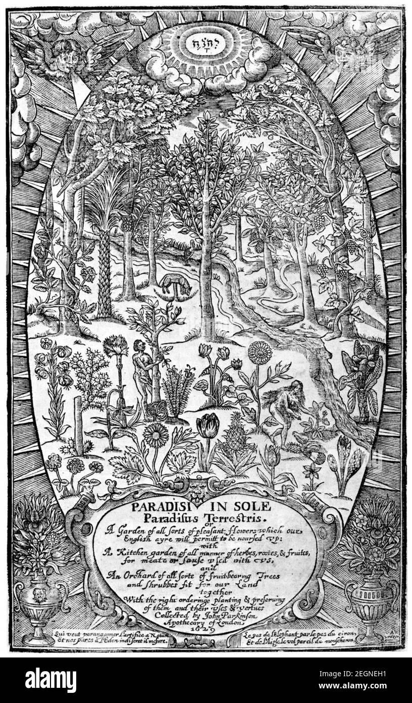 Paradisi in hi-res stock photography and images - Alamy