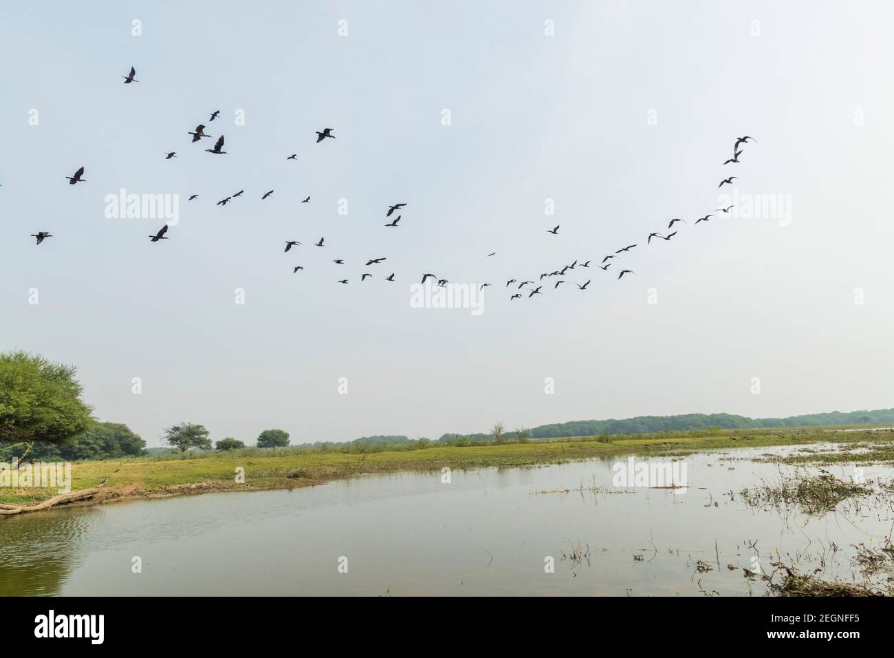 Thol sanctuary hi-res stock photography and images - Alamy