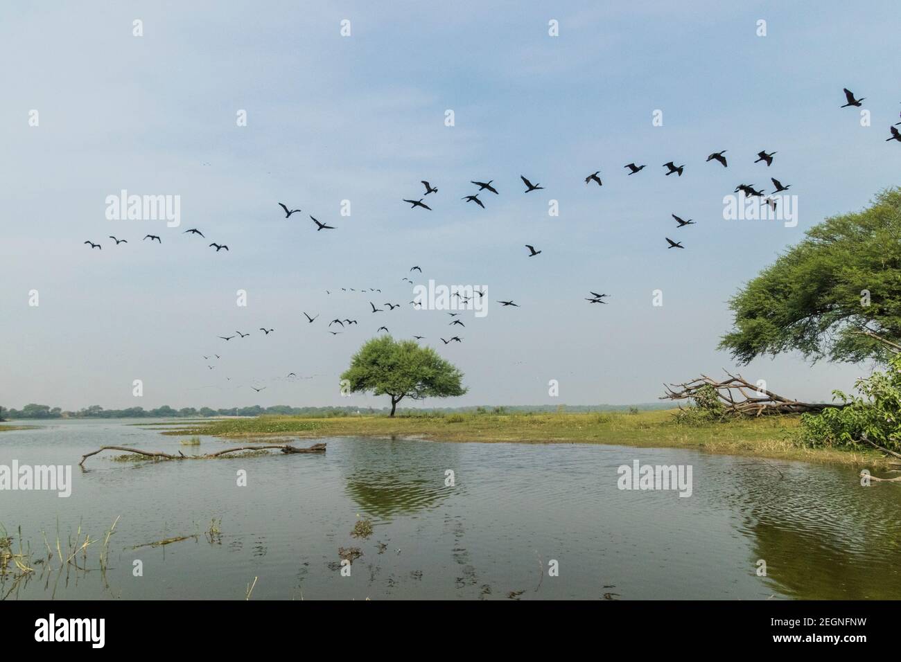 Thol Lake, Ahmedabad Stock Photo - Alamy