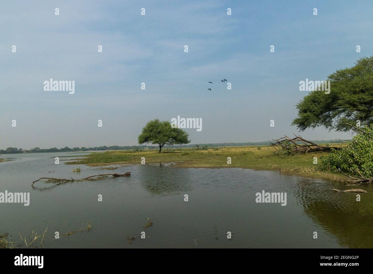 Thol sanctuary hi-res stock photography and images - Alamy