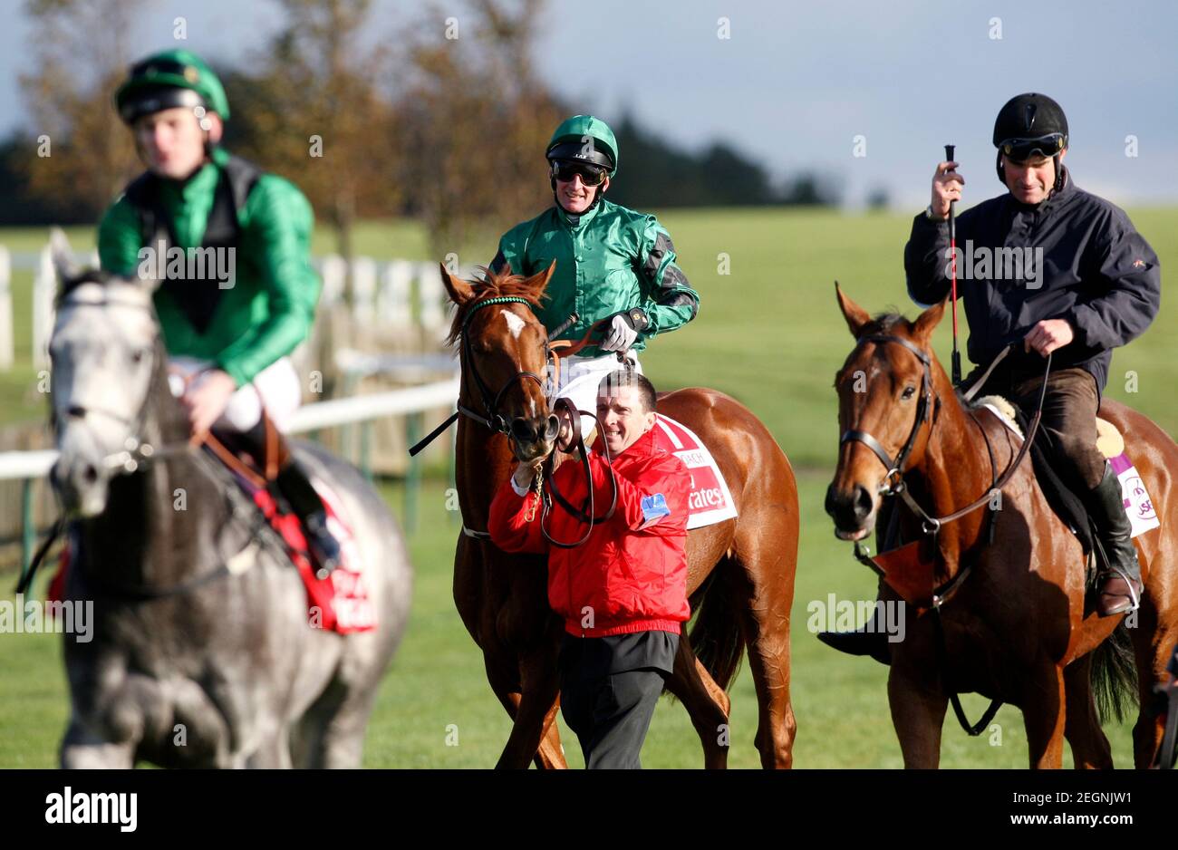 New approach horse hi-res stock photography and images - Alamy