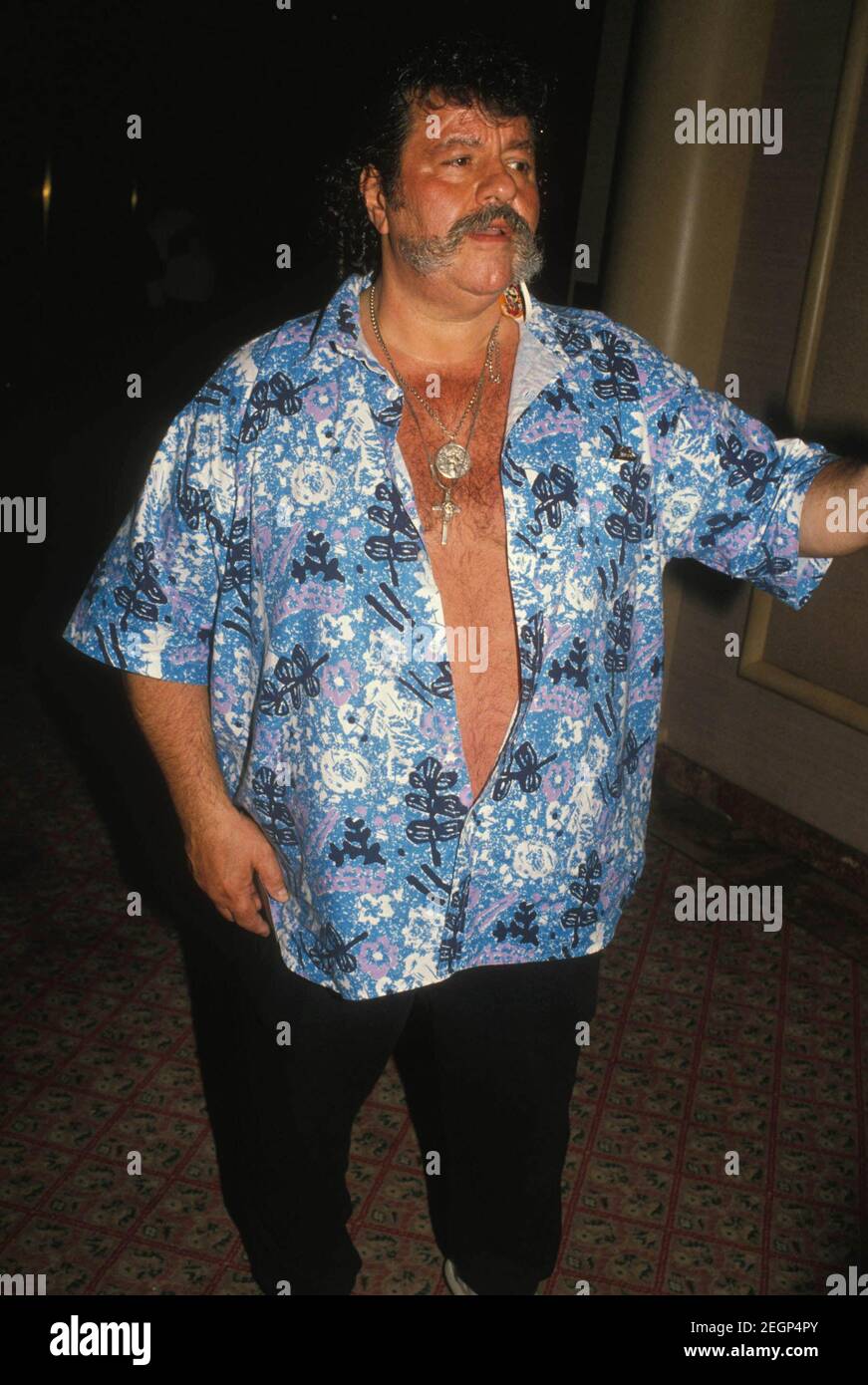 CAPTAIN LOU ALBANO L0138 1989 Credit:Barrett/ Photolink / MediaPunch ...