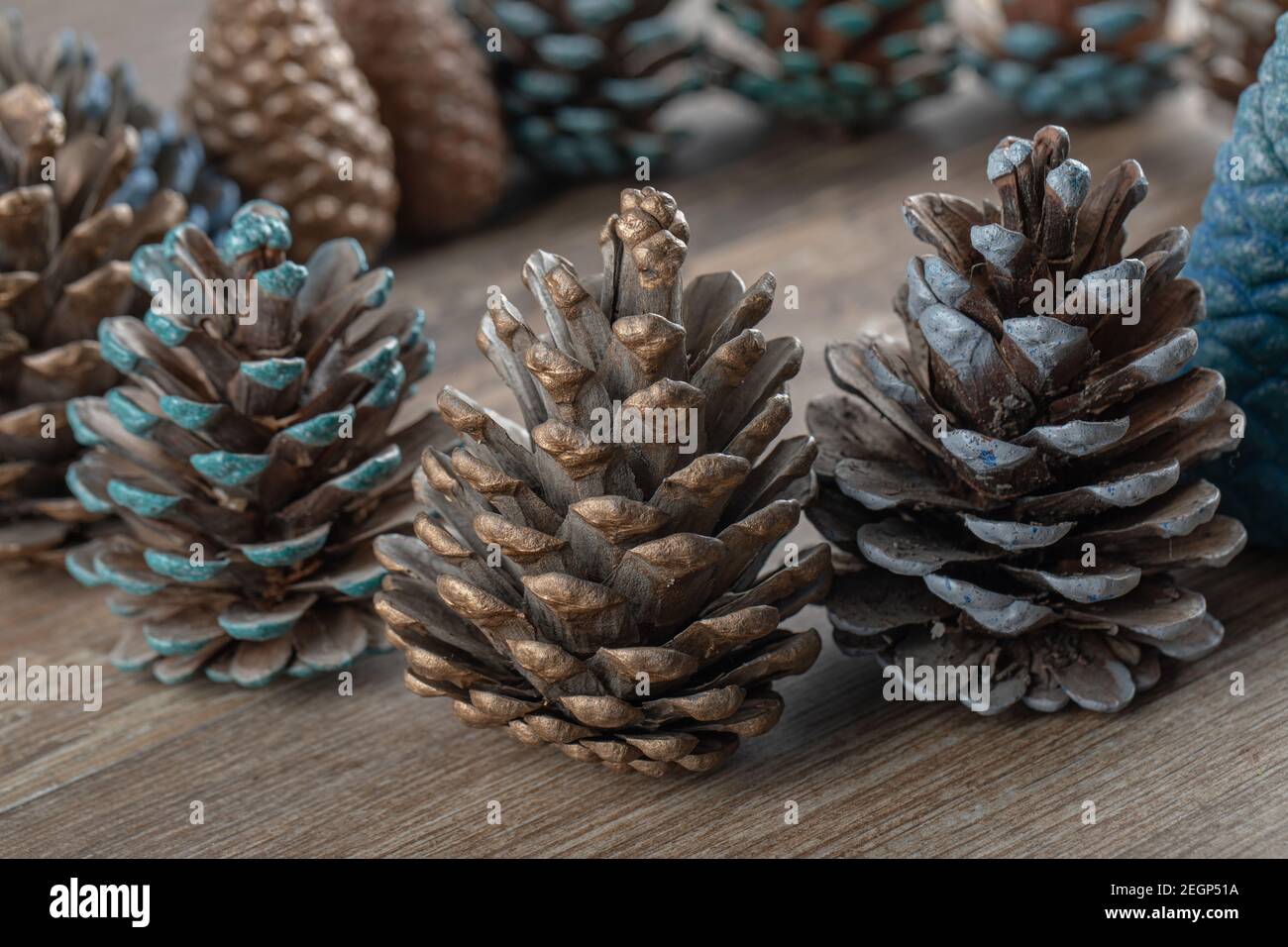 Natural blue and golden colored oak tree cones on a wooden deck Stock ...
