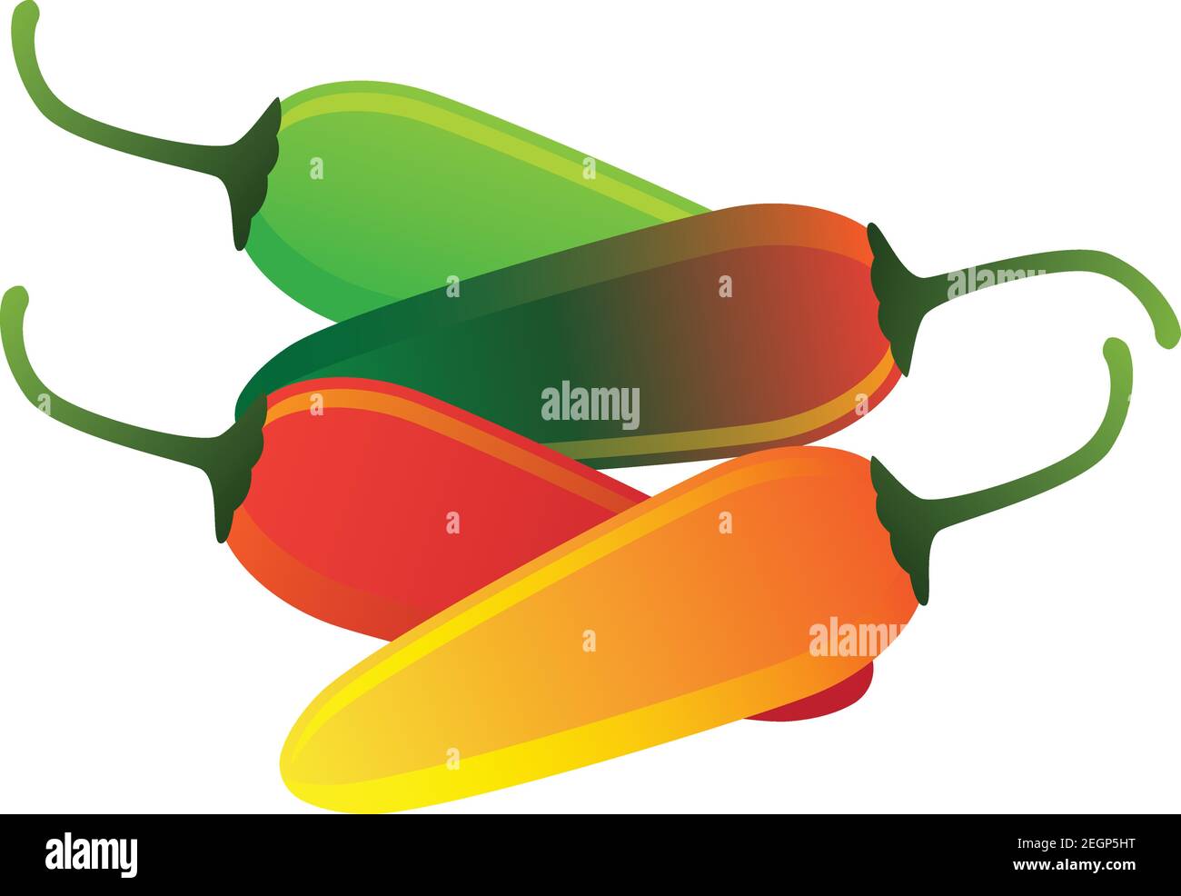 raw green, red, yellow jalapeno pepper. vector illustration Stock ...