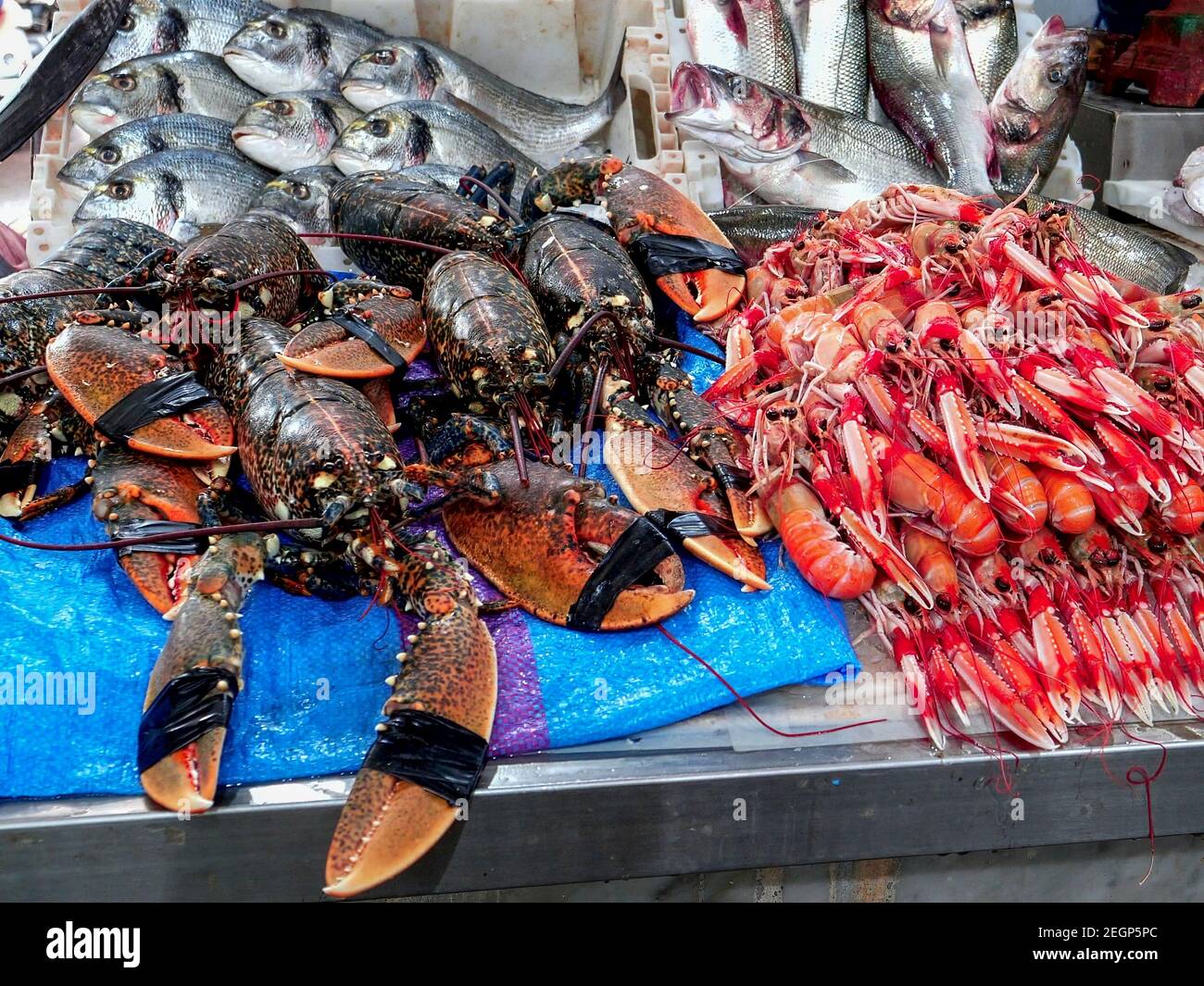 Morroco fish hi-res stock photography and images - Alamy