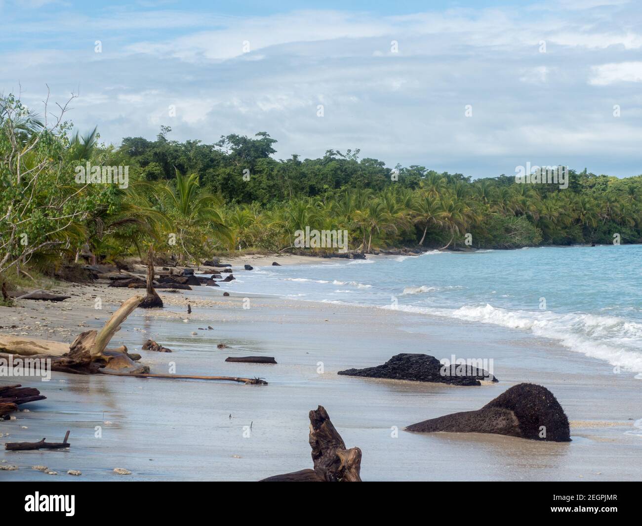 Beach in in Cahuita national park in Costa Rica Stock Photo - Alamy