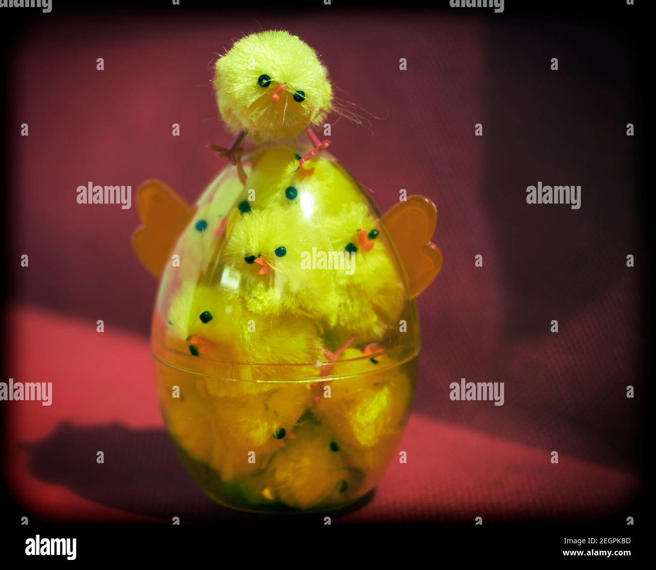 peeps, chicks, fuzzy, chickens, hens, Easter, kids, decorations, basket ...