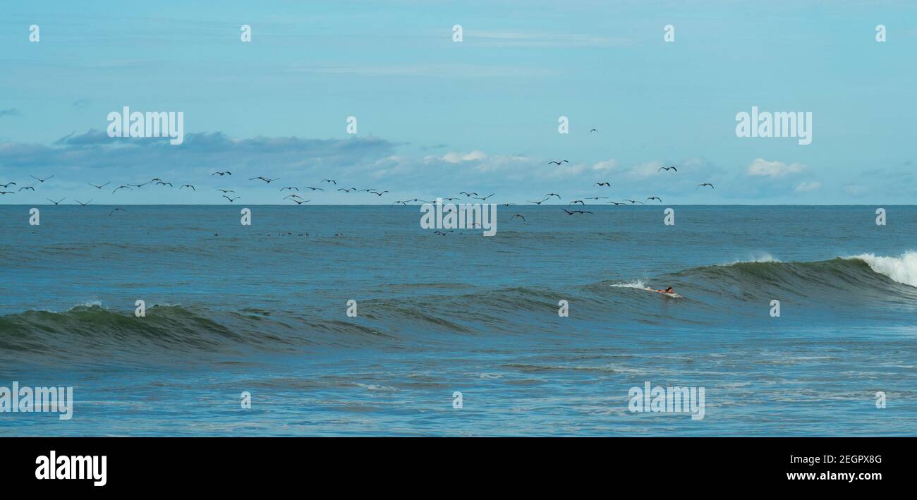 Flying over surf towards horizon hi-res stock photography and images ...
