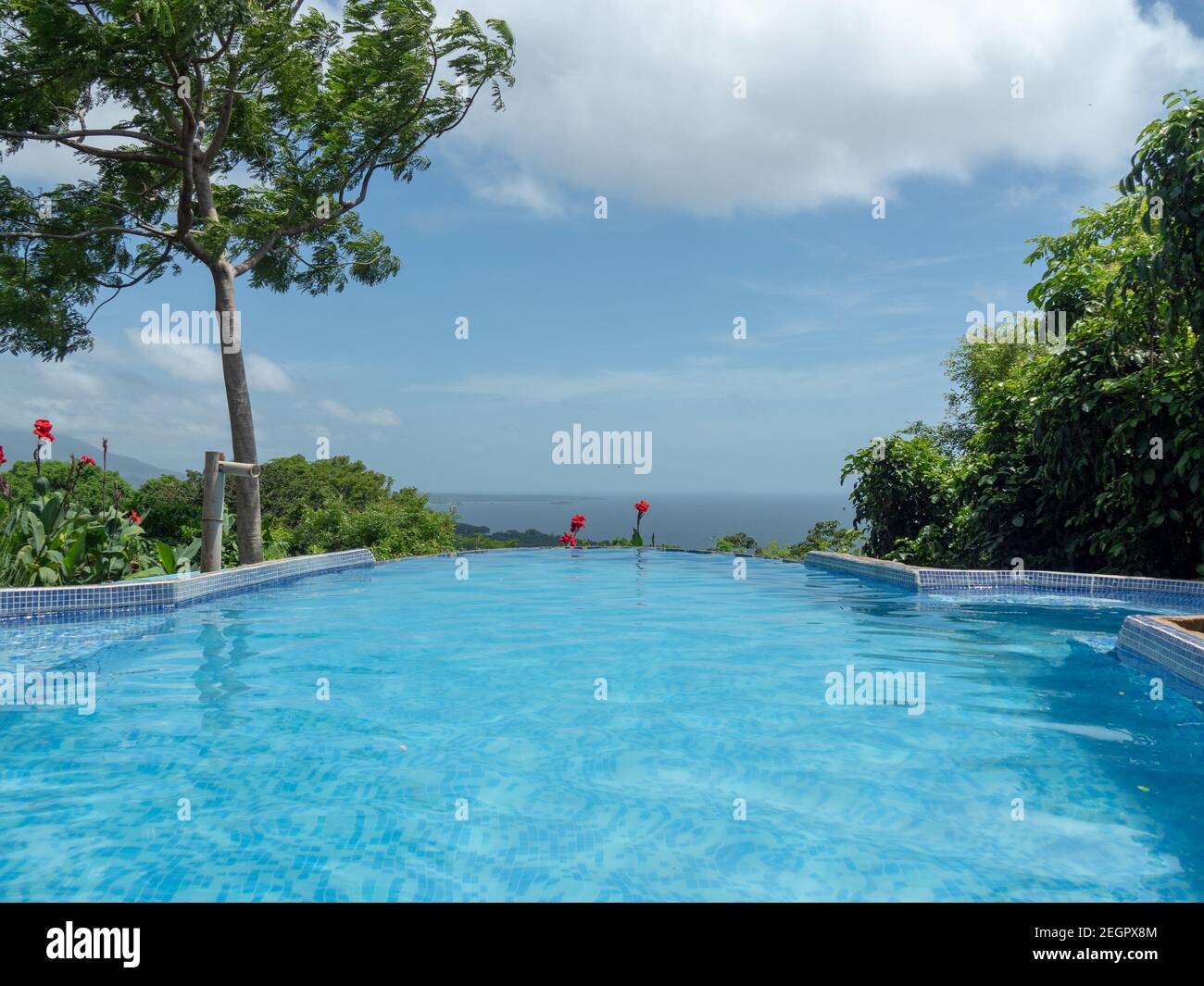 Infinity pool overlooking lake, blue sky, red flowers and green foliage ...