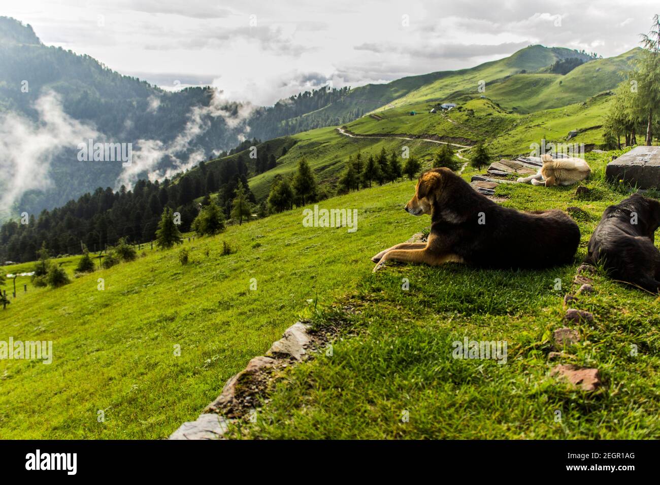 Kullu manali hi-res stock photography and images - Alamy