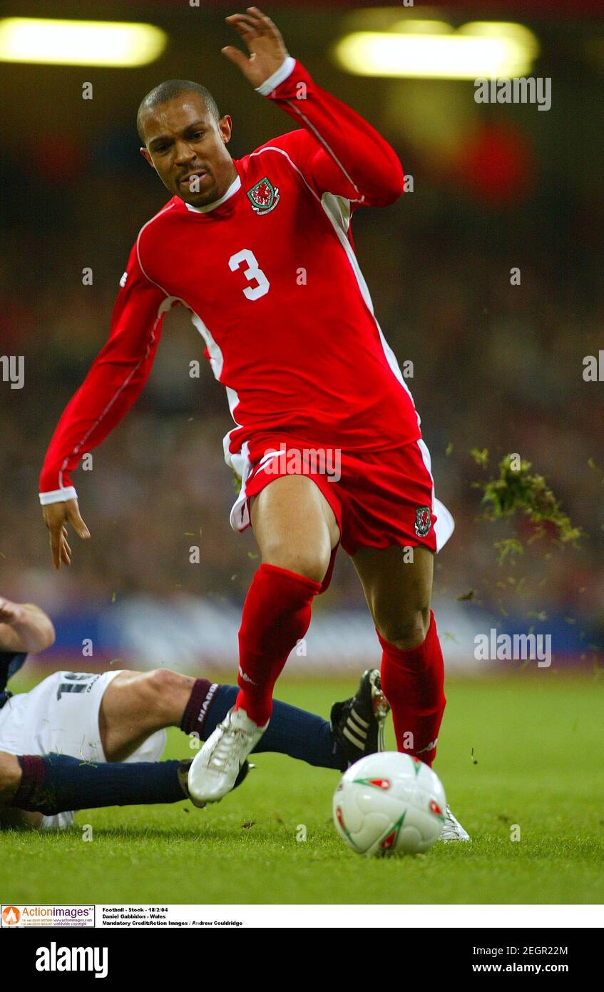 Danny gabbidon wales hi-res stock photography and images - Alamy
