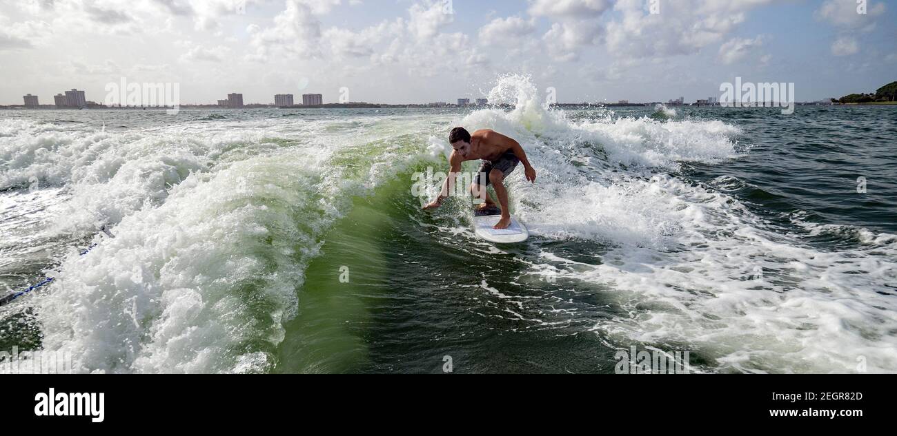 Skims the water hi-res stock photography and images - Alamy