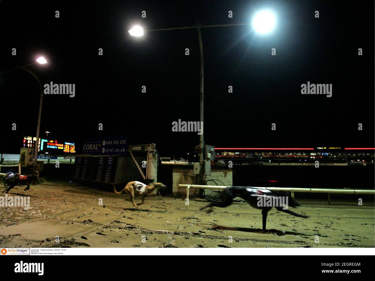 Romford greyhound racing hi-res stock photography and images - Alamy