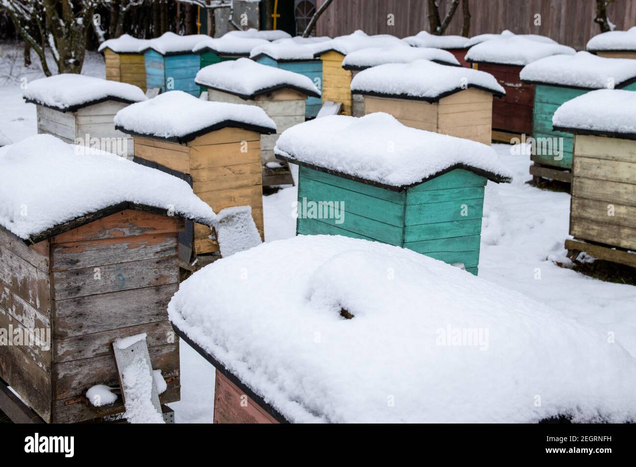 Beehive during winter hi-res stock photography and images - Alamy