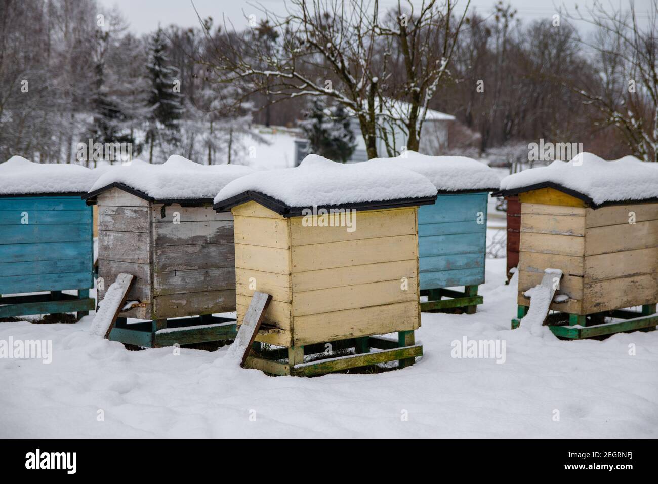 Beehive during winter hi-res stock photography and images - Alamy