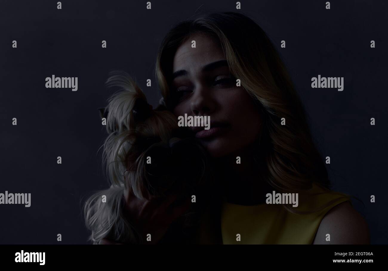 Cheerful blonde in a yellow dress pedigree dog hugs pets Stock Photo ...