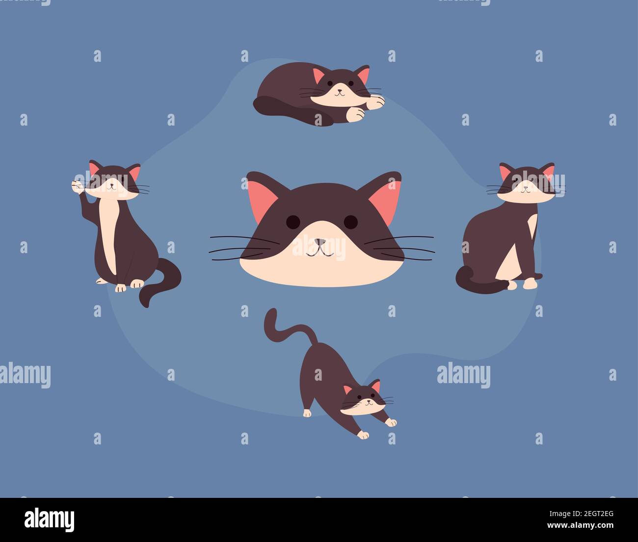 cute little cats felines characters vector illustration design Stock ...