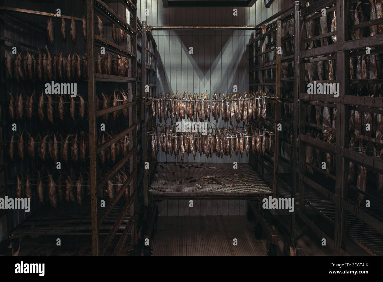 Smoked fish production concept: smoked fish in smokehouse box Stock ...