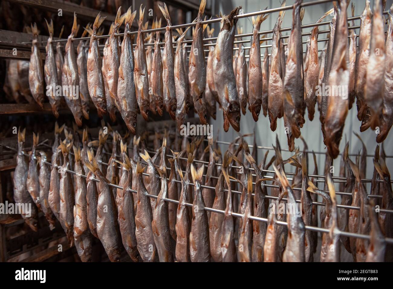 Traditional salmon smoking in smokehouse hi-res stock photography and ...