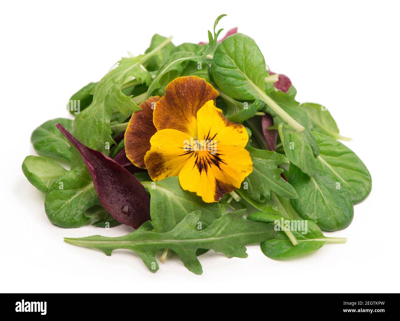 mix salad with arugula spinach salad red on a white background Stock ...