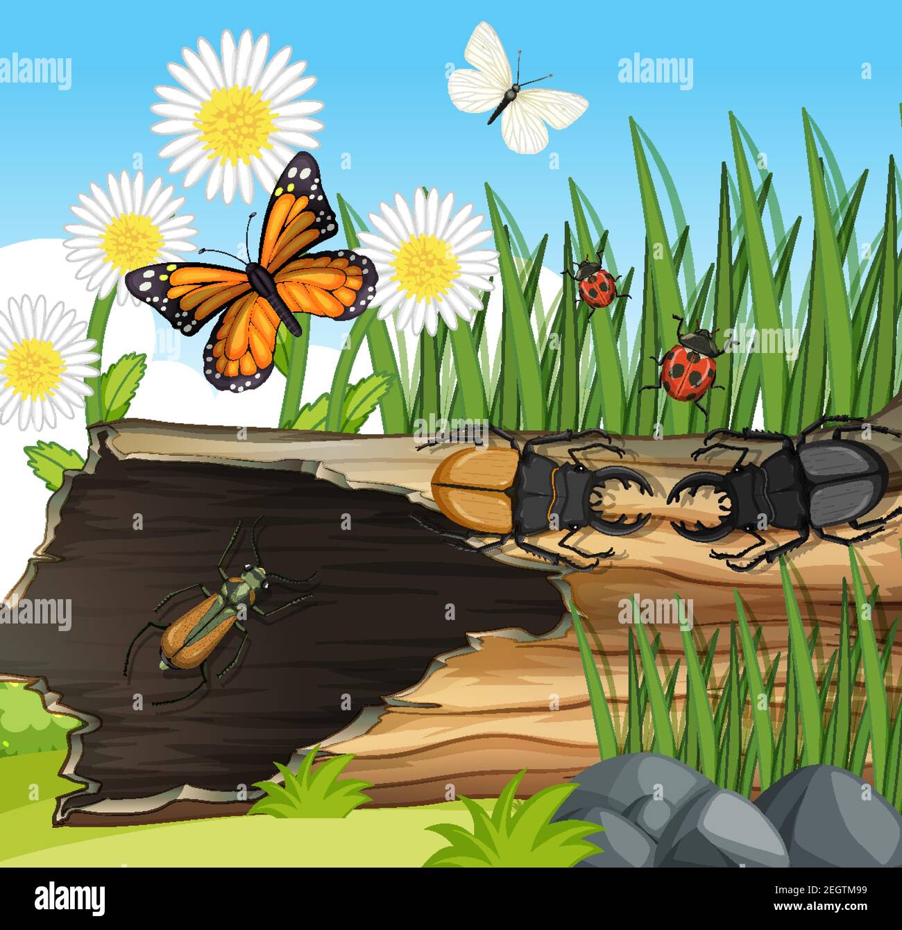 Many different insects in the garden scene illustration Stock Vector ...