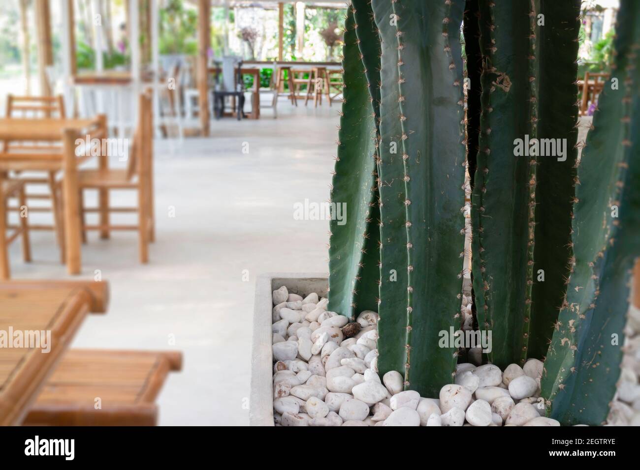 Simple resort furniture seat setting arrangement, stock photo Stock ...