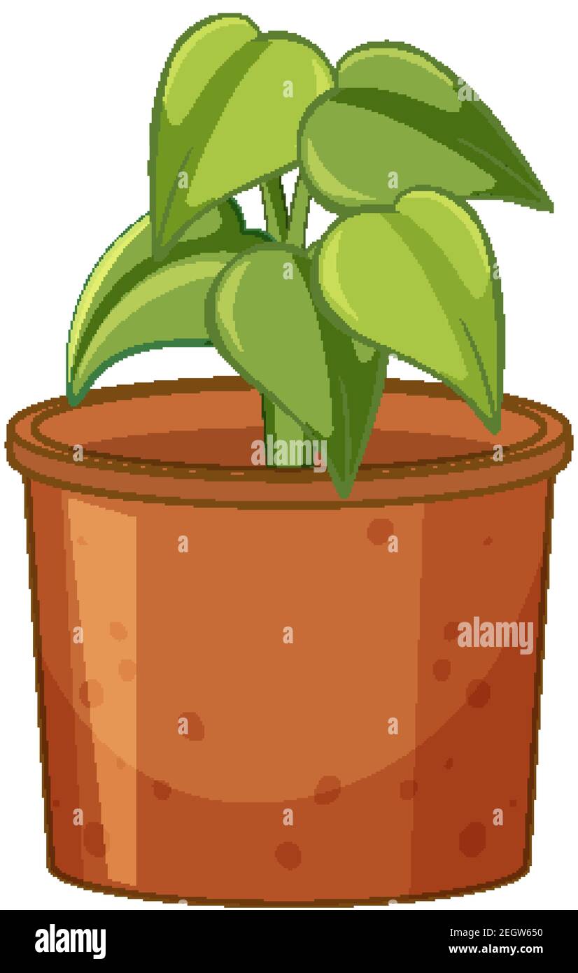 Green plant in a pot cartoon style illustration Stock Vector Image ...