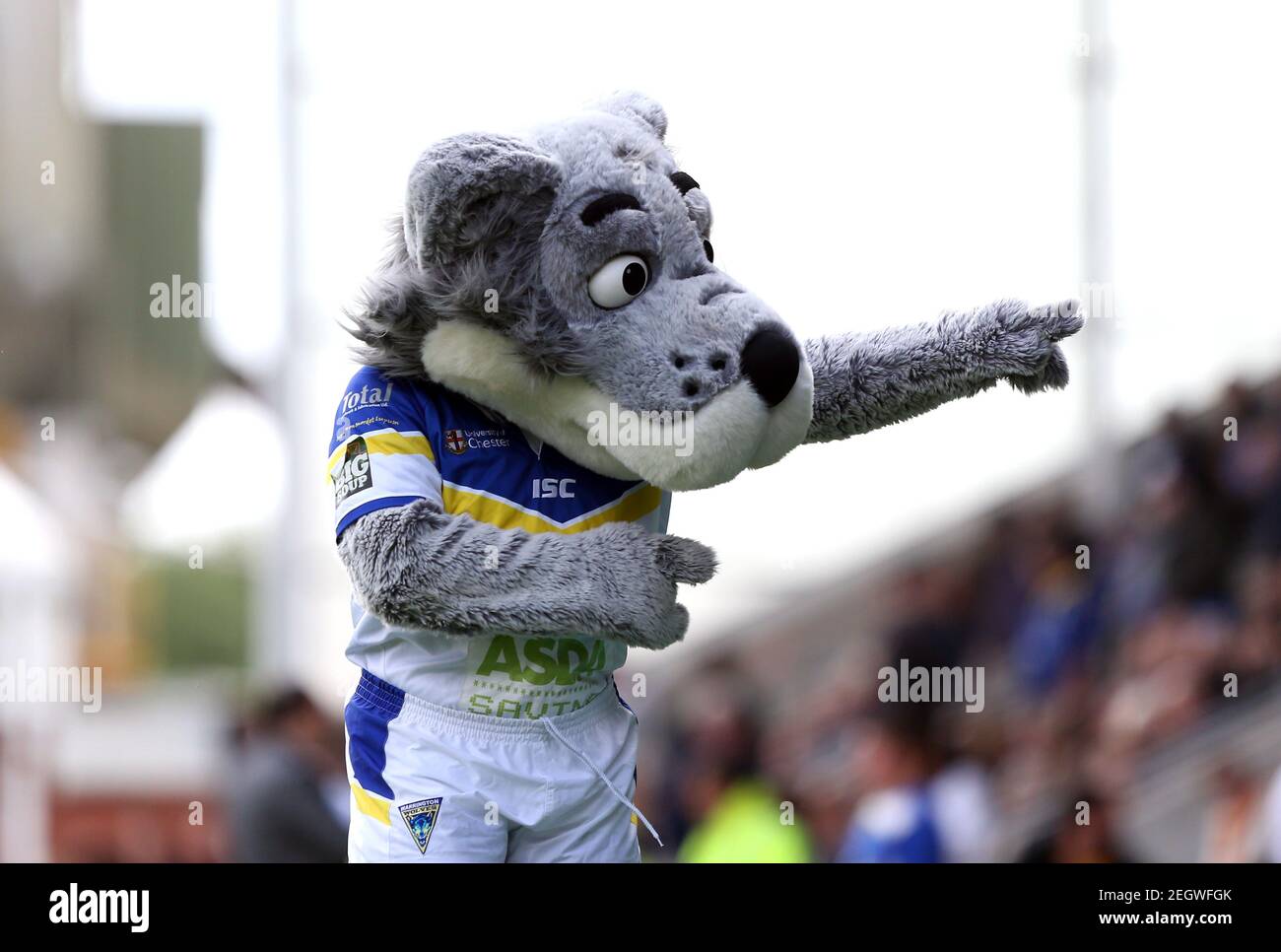 Warrington wolves mascot hi-res stock photography and images - Alamy