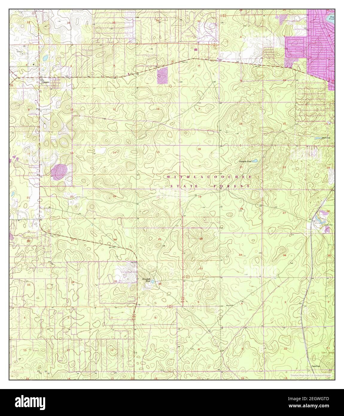 Lecanto, Florida, map 1954, 1:24000, United States of America by ...