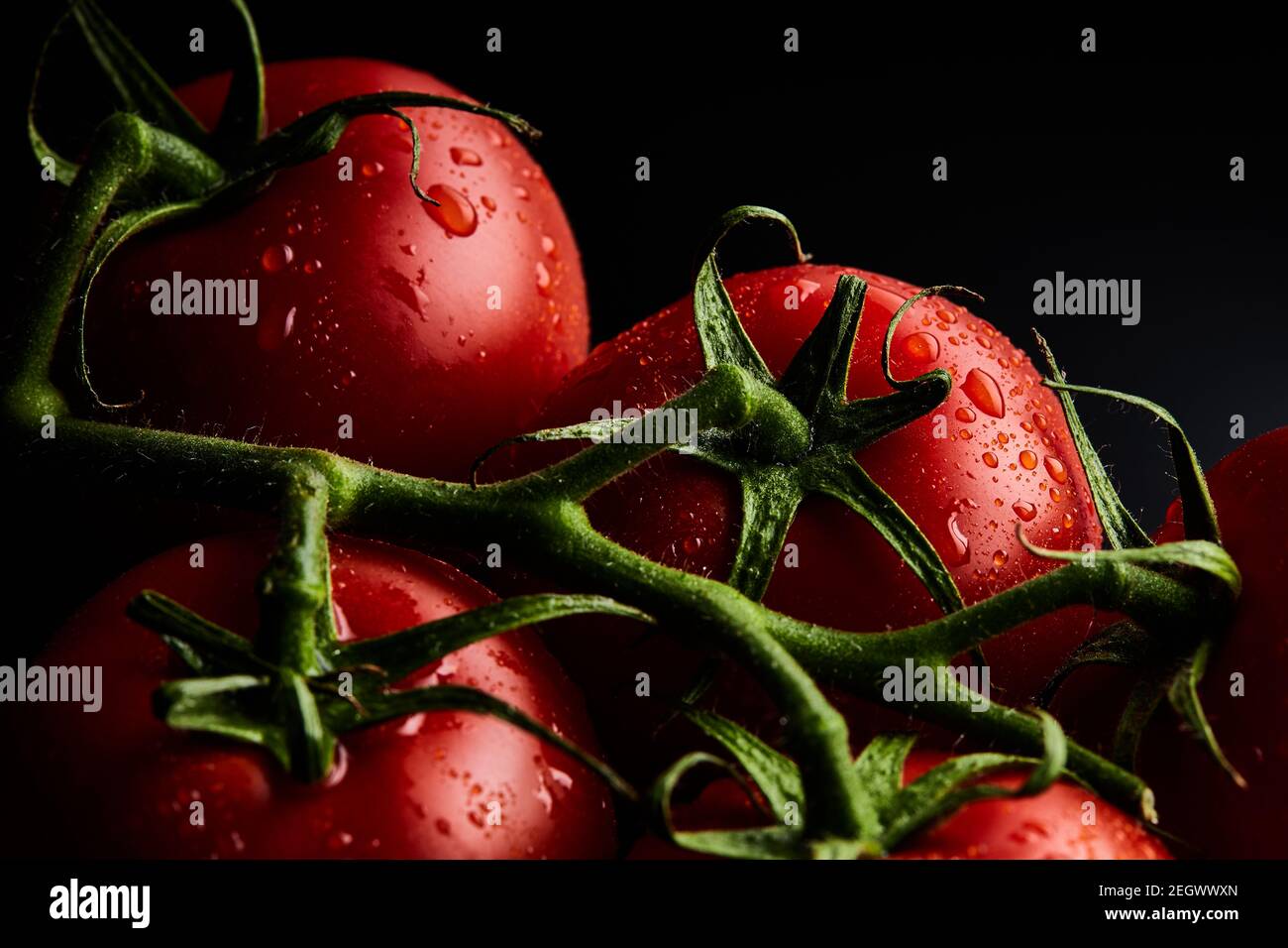 Tasty fresh organic tomatoes ready to eat Stock Photo - Alamy