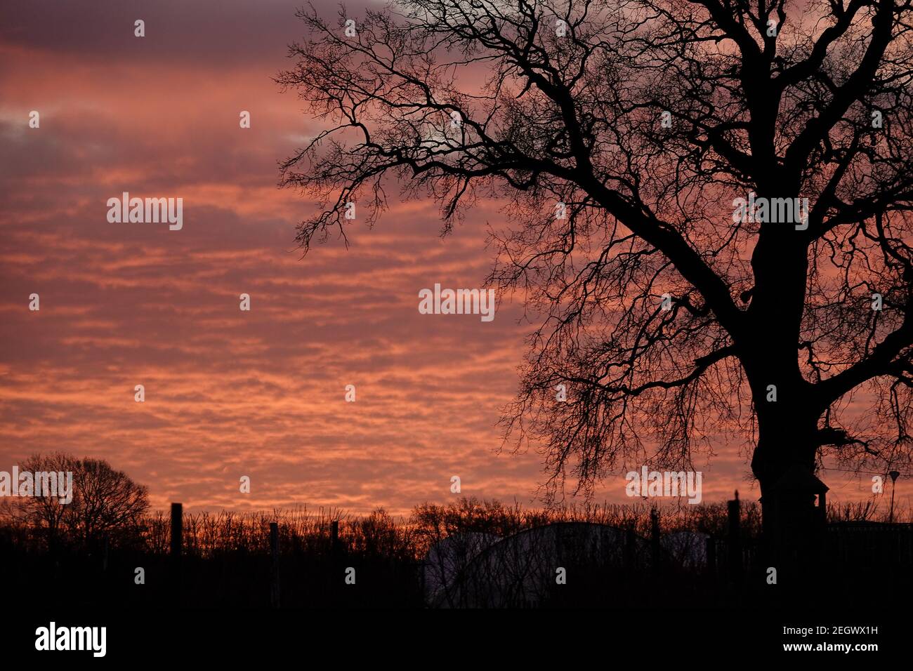 Tuesley Farm, Godalming. 19th February 2021. A beautiful start to the ...