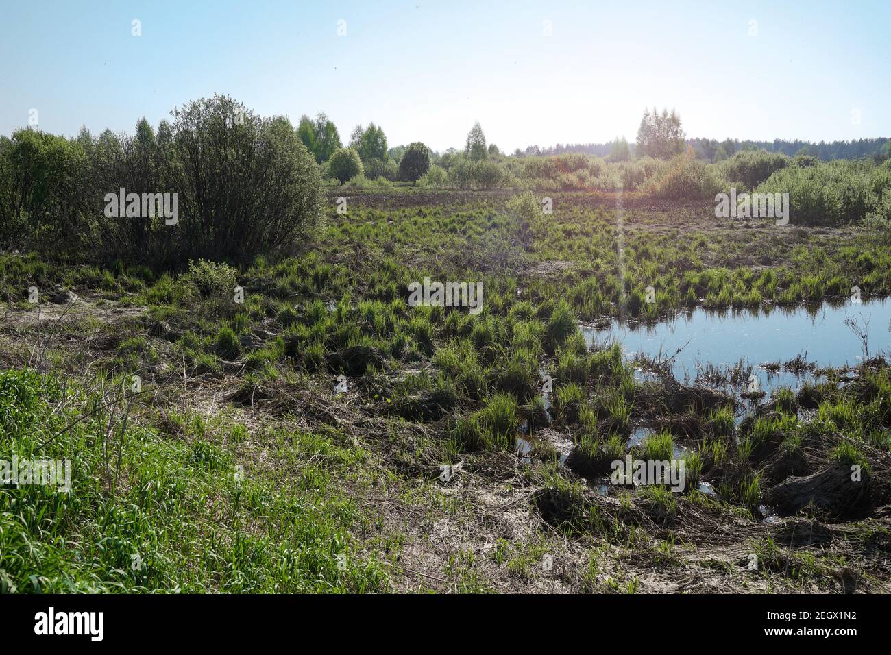 Waterlogged grass hi-res stock photography and images - Alamy